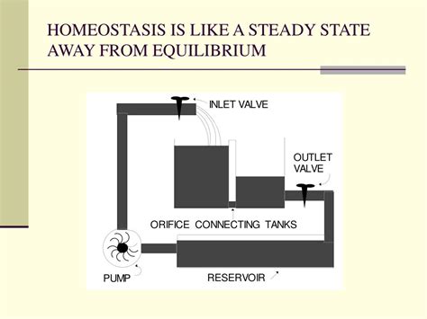 ppt relational systems theory an approach to complexity powerpoint