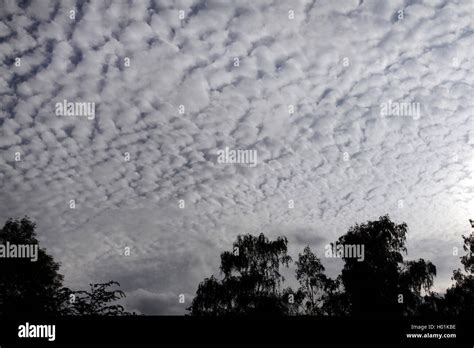 Altocumulus Stratiformis Translucidus Deutschland Nordrhein Westfalen
