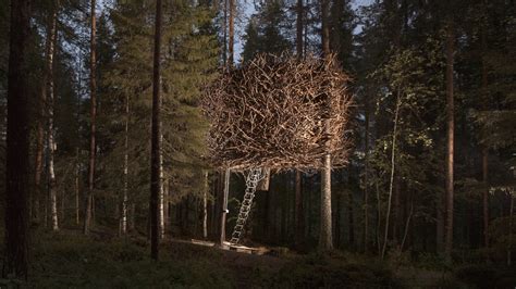 These Are Some Stunning Pictures Of Tree Houses Around The World Viral Novelty
