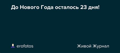 До Нового Года осталось 23 дня Erofotos — Livejournal