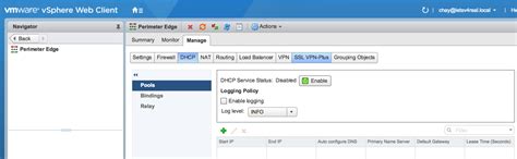 Configure Dhcp Services In Vmware Nsx Lets V4real