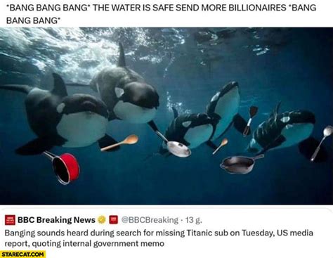 Dolphins Bang Bang Bang The Water Is Safe Send More Bilionaires Banging