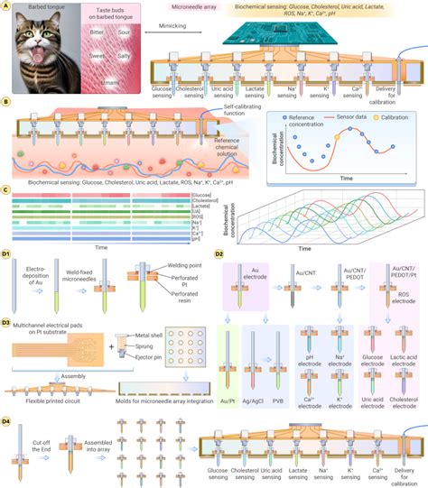Self Calibrating Multiplexed Microneedle Electrode Array For Continuous Mapping Of Subcutaneous
