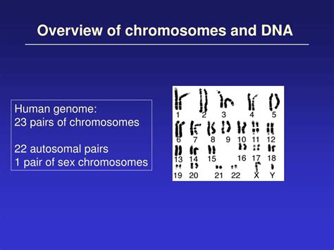 Ppt Introduction To Affymetrix Snp Technology Powerpoint Presentation