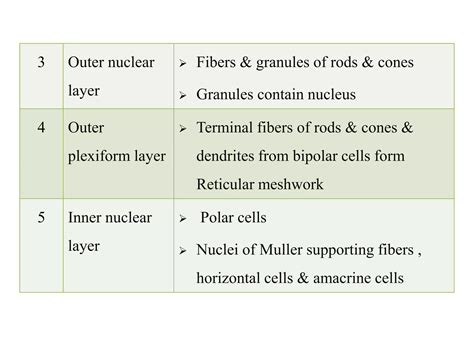 Visual Transduction Ppt 2021 Pptx
