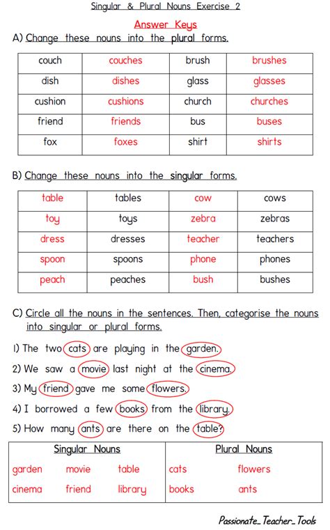 Passionate Teacher Tools Singular And Plural Nouns Exercise 2 With