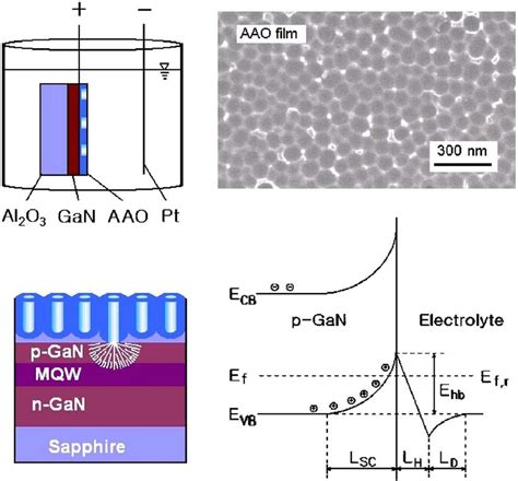 Color Online Schematic Diagrams Of Anodic Process Of Gan Nanoclusters Download Scientific