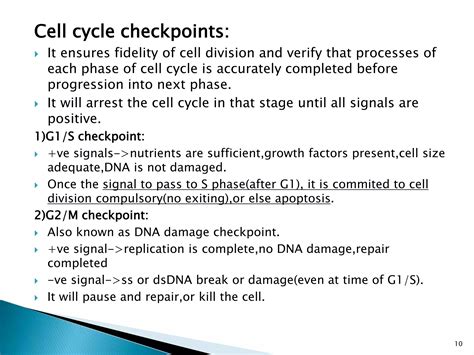 Cell Cycle Regulation And Checkpoints Pptx