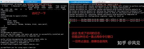 Linux Docker创建容器 知乎