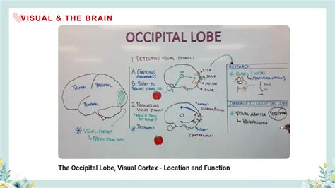 Visual Processing Visual Perception And Visual Motor Deficitpdf