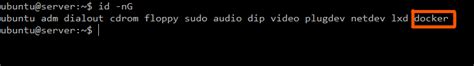 Cara Install Dan Menggunakan Docker Di Debian 10 Knowledge Base