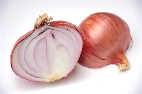 Loignon De Toulouges Cuisine à Louest