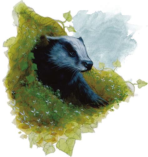 Badger Monster Stat Block Dnd 5e