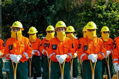 Bolívia quer ajuda do Brasil para apagar incêndios após fogo chegar a