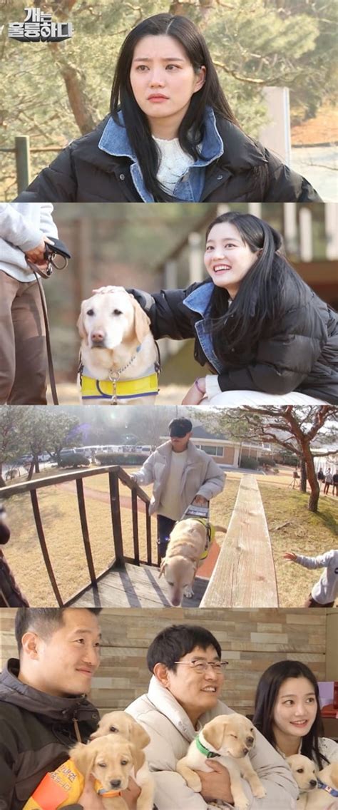 개는 훌륭하다 이경규보다 이유비 시각안내견 공감요정 텐아시아