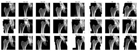 Building My First Binary Image Classifier Euchs Blog