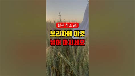 혈관 깨끗 보리차 레시피 Youtube