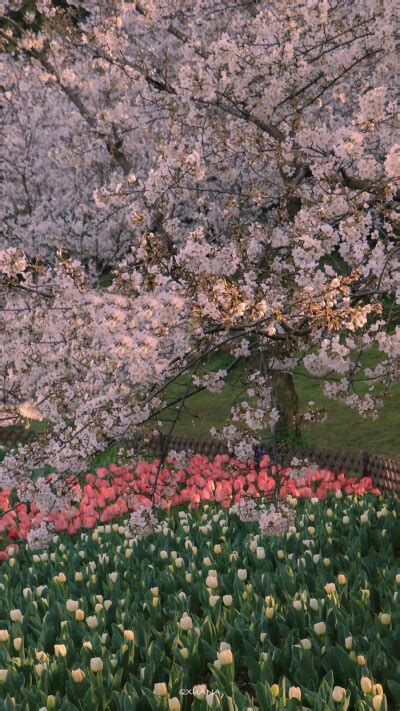 壁纸 觉醒年代赵世炎 高清图片，堆糖，美图壁纸兴趣社区