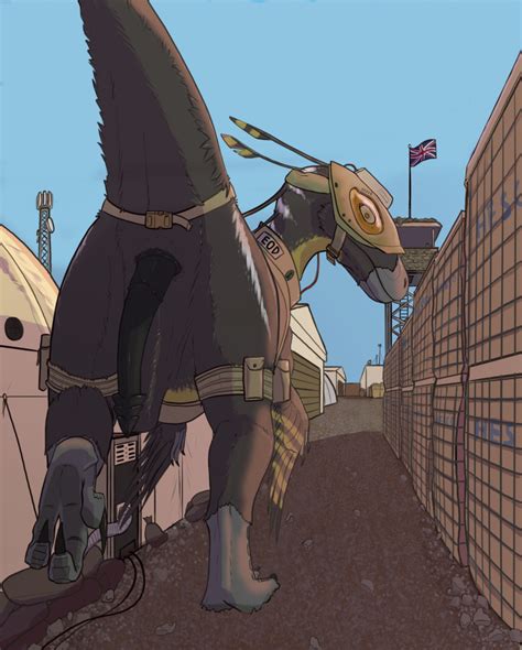 Rule 34 Absurd Res Animal Genitalia Avian Black Body Cloaca Clothed