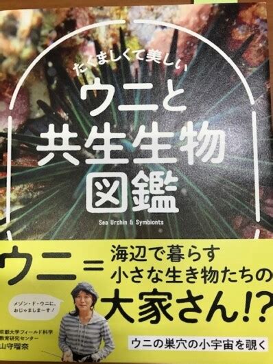 海の小さな生き物たちはウニに守られていた 戀 くまねこ堂
