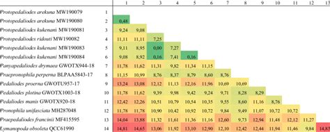 Genetic Distances In Based On Coi Sequences Among The Pronophilina