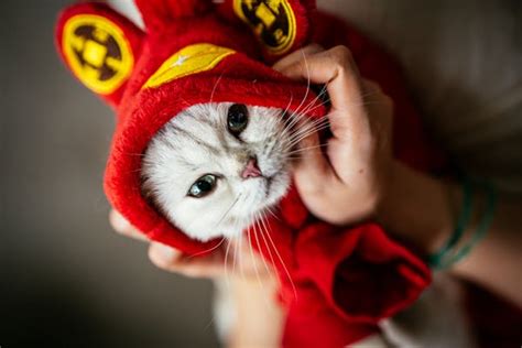 Why Is My Xbox Controller Flashing And How Can I Stop It