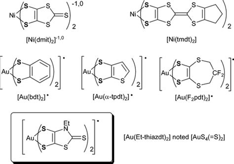 Sandrina Schultz Body