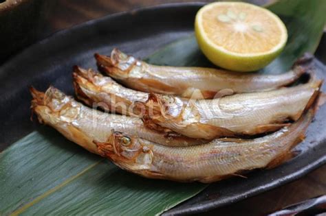 焼きししゃも No 1952161｜写真素材なら「写真ac」無料（フリー）ダウンロードok
