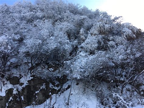 2023翠华山滑雪场玩乐攻略滑雪场挺好玩的，边上景色也不错 【去哪儿攻略】