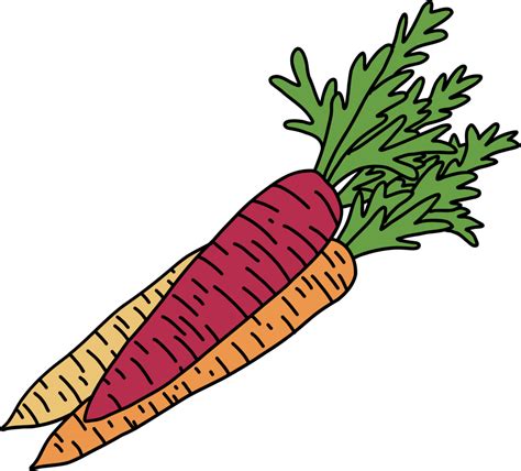 Doodle Freehand Sketch Drawing Of Carrot Vegetable PNG