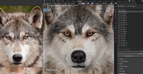 A Blender Hair Grooming Tutorial For Creating Photorealistic Fur