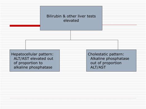 Ppt Jaundice And Ascites Powerpoint Presentation Free Download Id 4145368