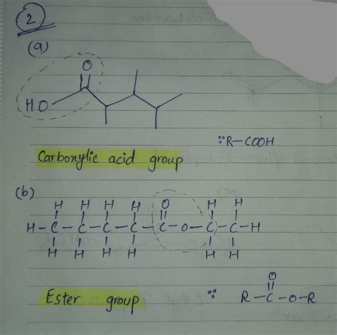 [solved] 1 Draw The Molecules Listed Below You May Use Any Form That Course Hero