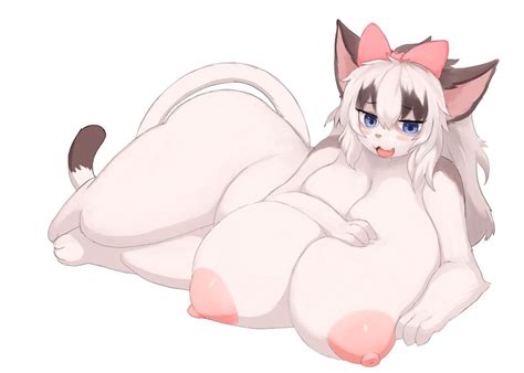 3555557 E621