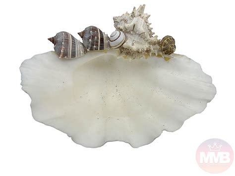 At Auction Authentic Giant Clam Shell Decorated Conch Shell