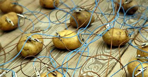 Potato Computer