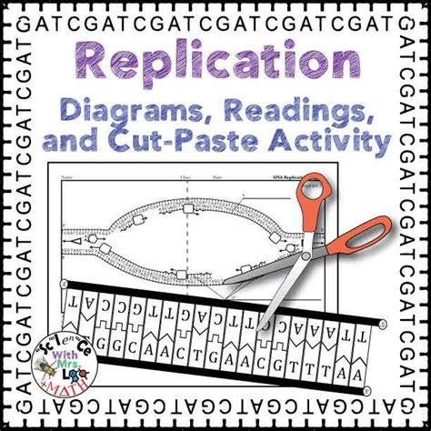 Dna Replication Activity Diagram And Reading For High School Biology