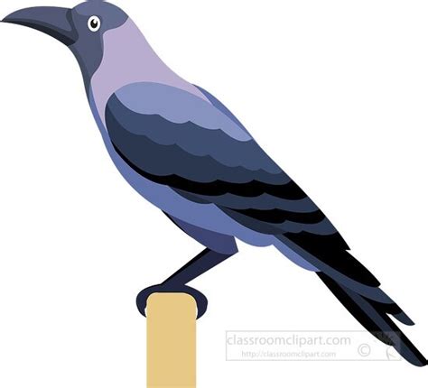 Crow Bird Clipart Classroom Clip Art