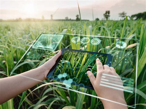 How Iot Can Play A Risk Mitigation Role And Not Just Be A Security Headache Risk And Insurance