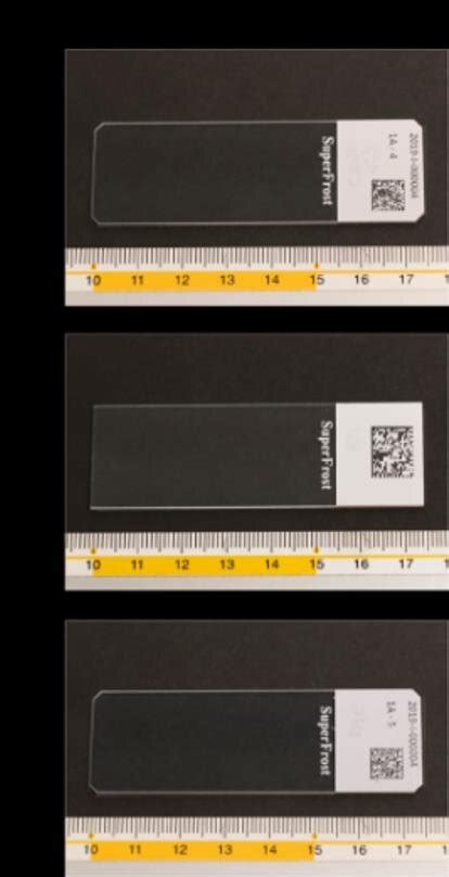 Figure S5 Paraffin Slice With The Reference Marker Made Of A The