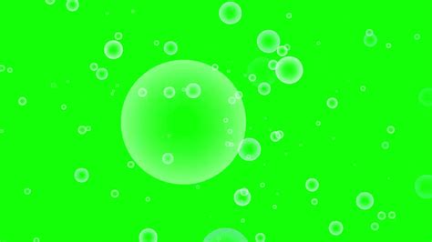 Bubble Screen