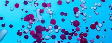 Regulating Synthetic Biology When Its Risks Are Unknown Lindau Nobel Laureate Meetings