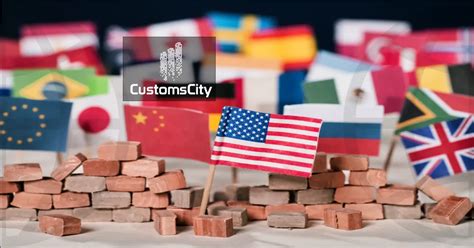了解关税：a Laymans Guide To Customs Duties Customscity Global Solutions Inc