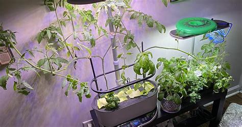 My Artificial Green Thumb Hydroponic Set Up Album On Imgur