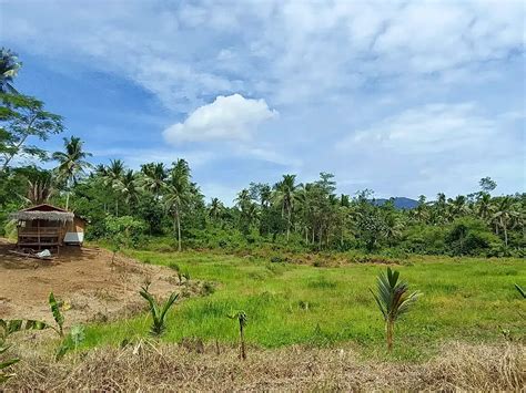 Philippines Farms And Land For Sale List And Find The Best Farm And