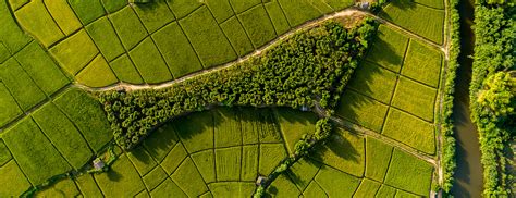 Datastream Iot Any Sensor • Any Industry • Anywhere