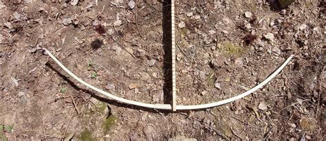 Ash D Longbow Finished Thank You All Guys For Support And Tiller Checks R Bowyer