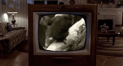 The Chimpanzee Trades Five Taliban Islamopsychos For A Deserter Page