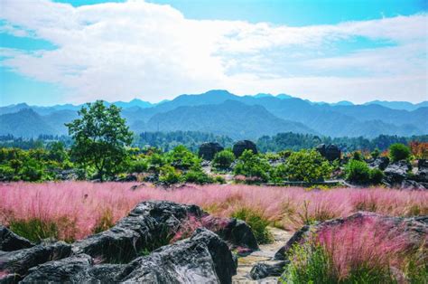 酉阳花海 酉阳桃花源 酉阳 大山谷图库