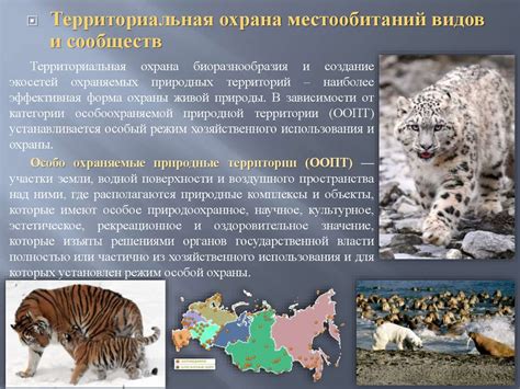 Способы охраны биоразнообразия презентация онлайн
